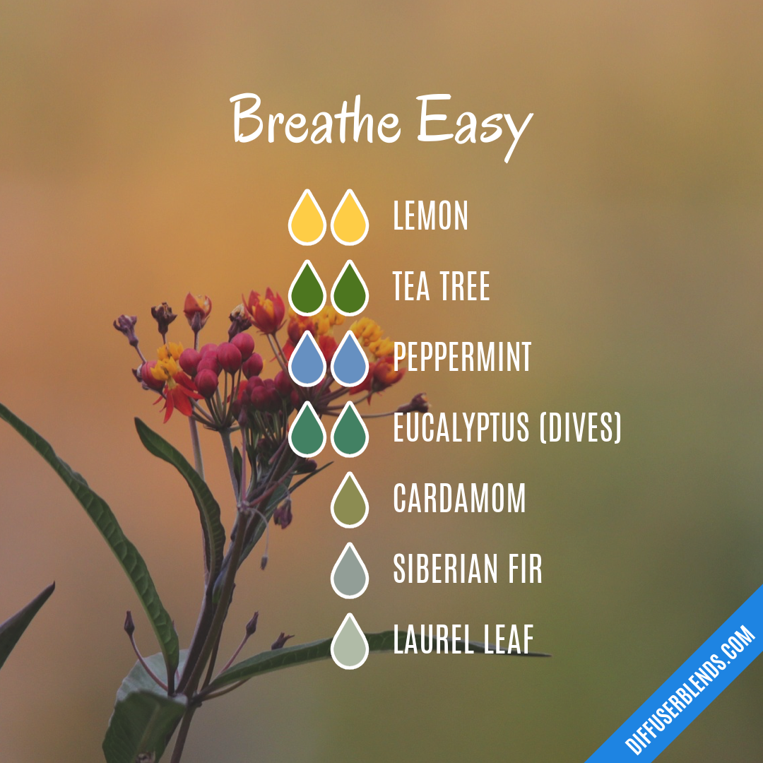 Breathe Easy | DiffuserBlends.com