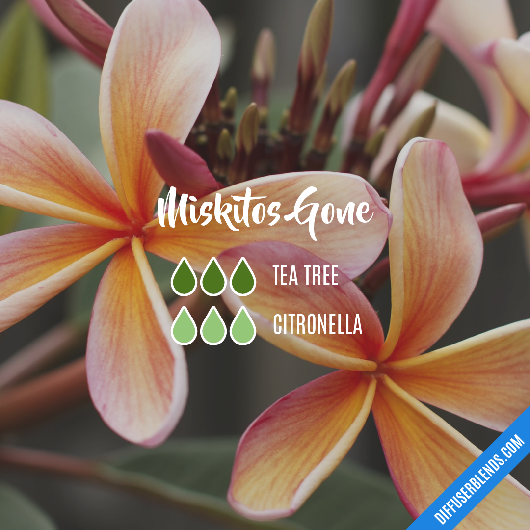 Miskitos Gone | DiffuserBlends.com