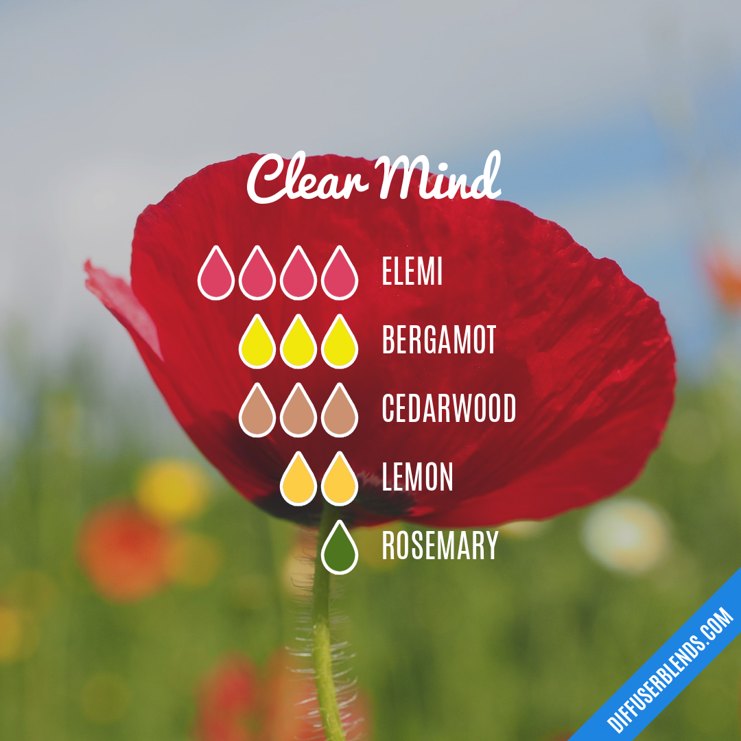 Clear Mind | DiffuserBlends.com