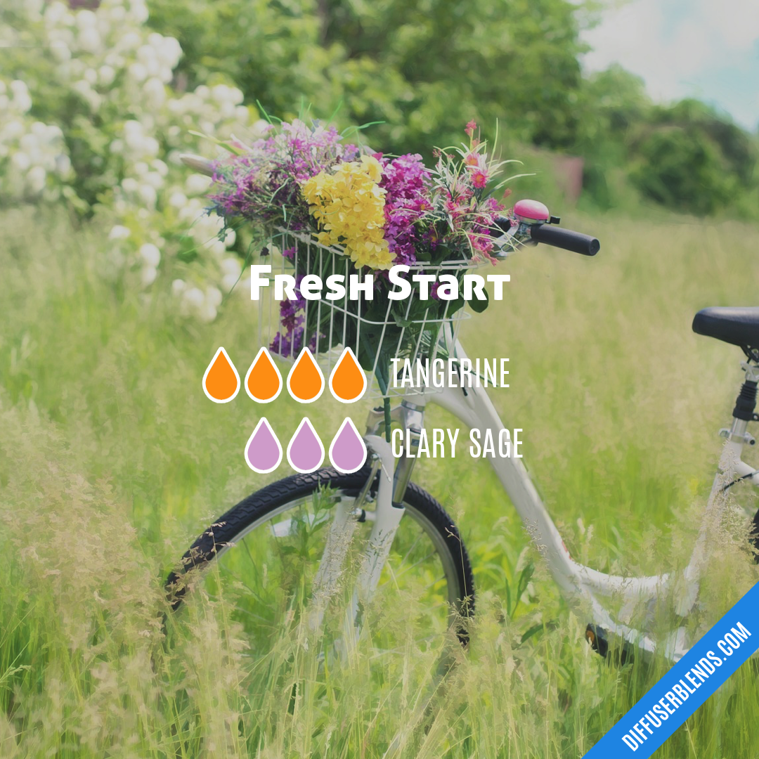 Fresh Start | DiffuserBlends.com