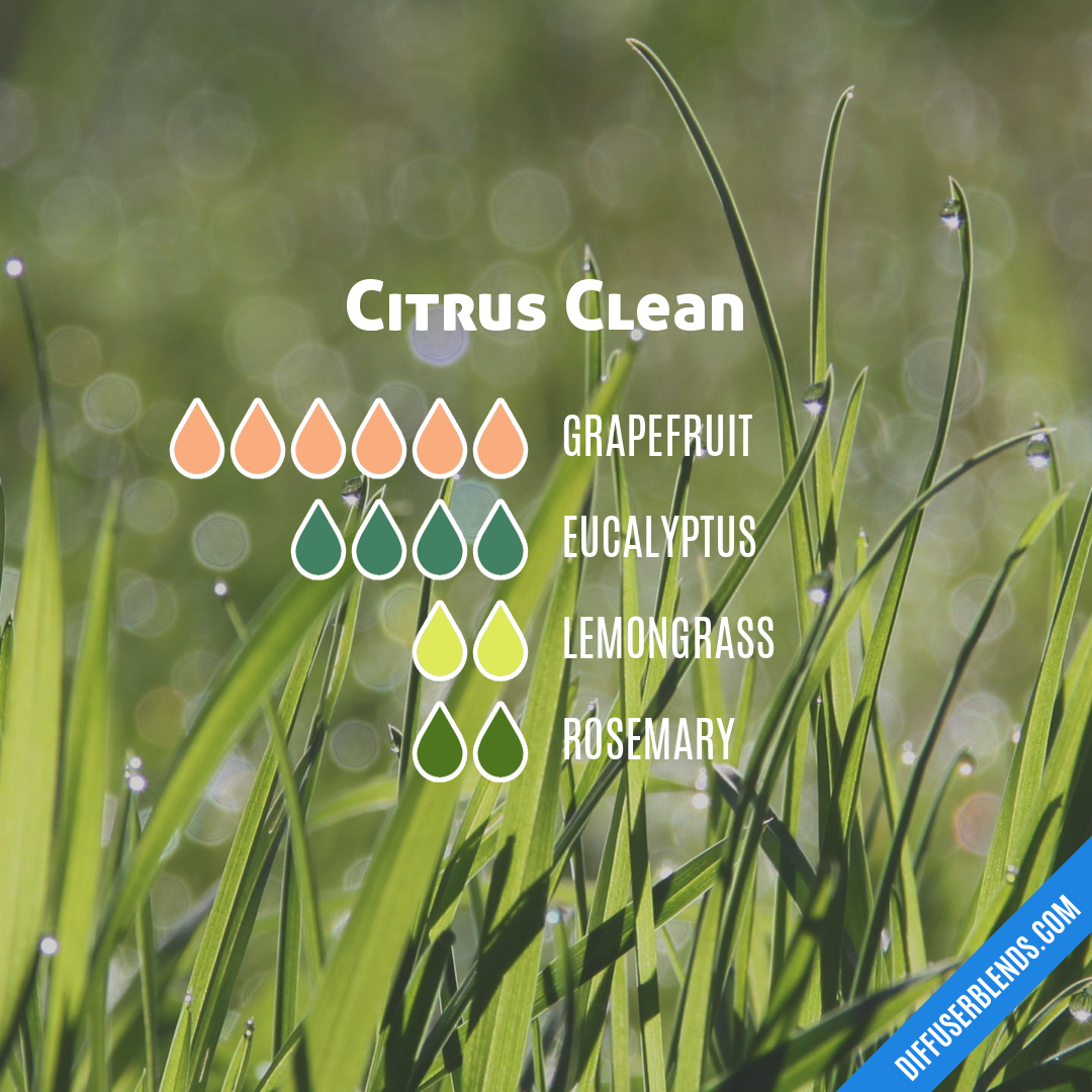 Citrus Clean | DiffuserBlends.com