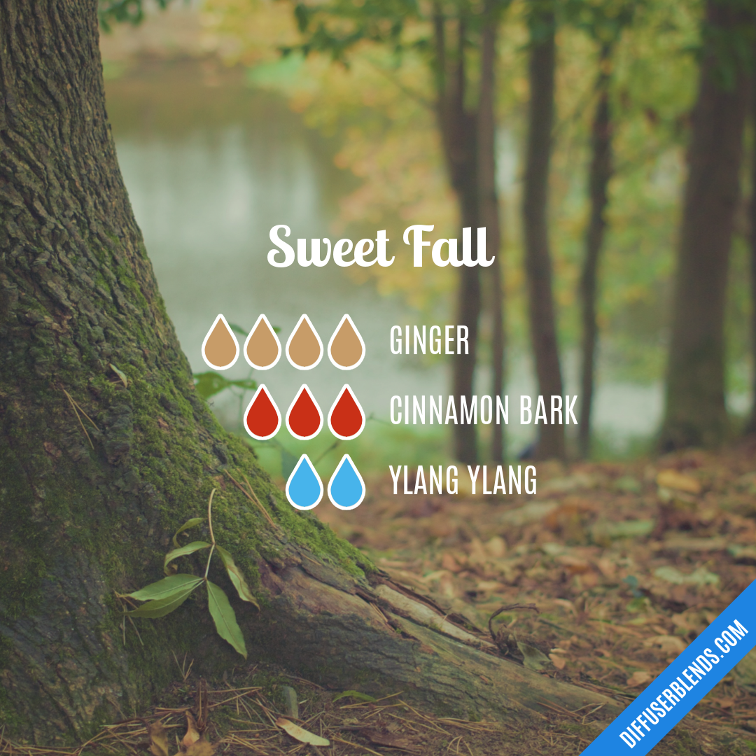 Sweet Fall | DiffuserBlends.com