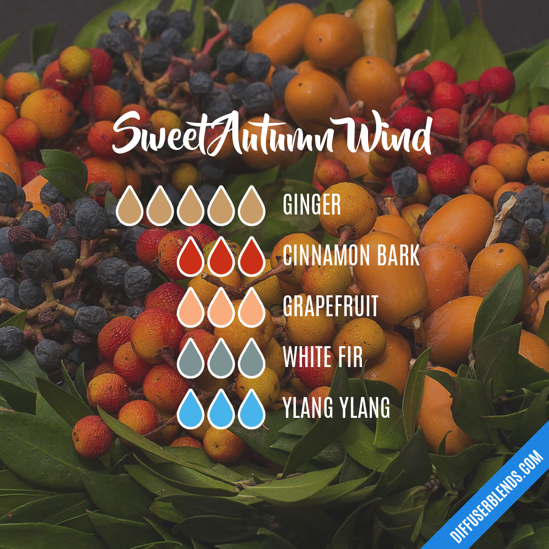 Sweet Autumn Wind | DiffuserBlends.com