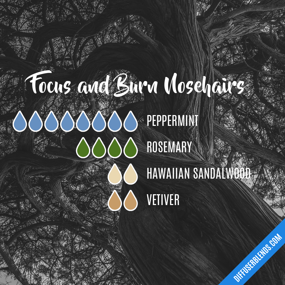 Focus and Burn Nosehairs | DiffuserBlends.com