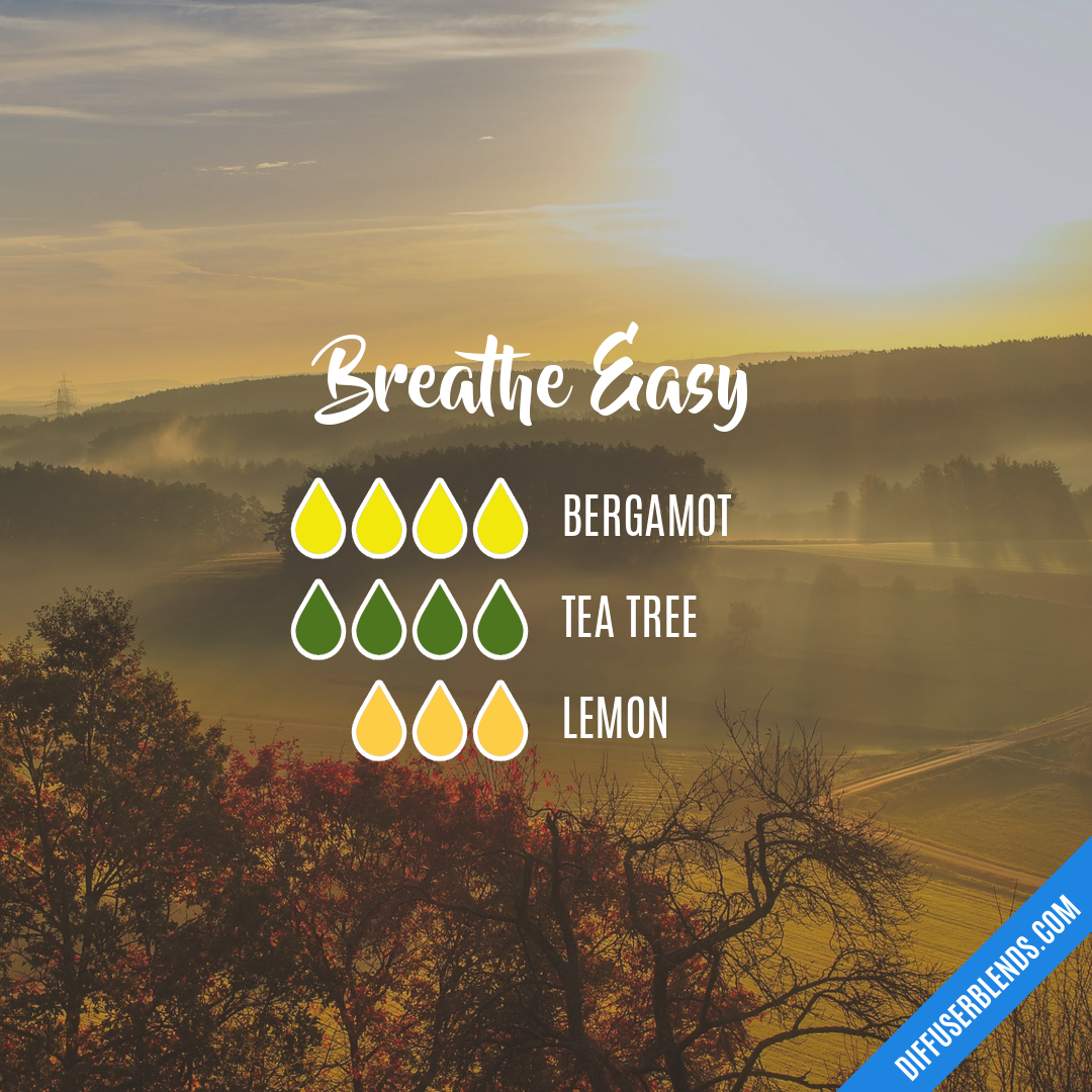 Breathe Easy | DiffuserBlends.com