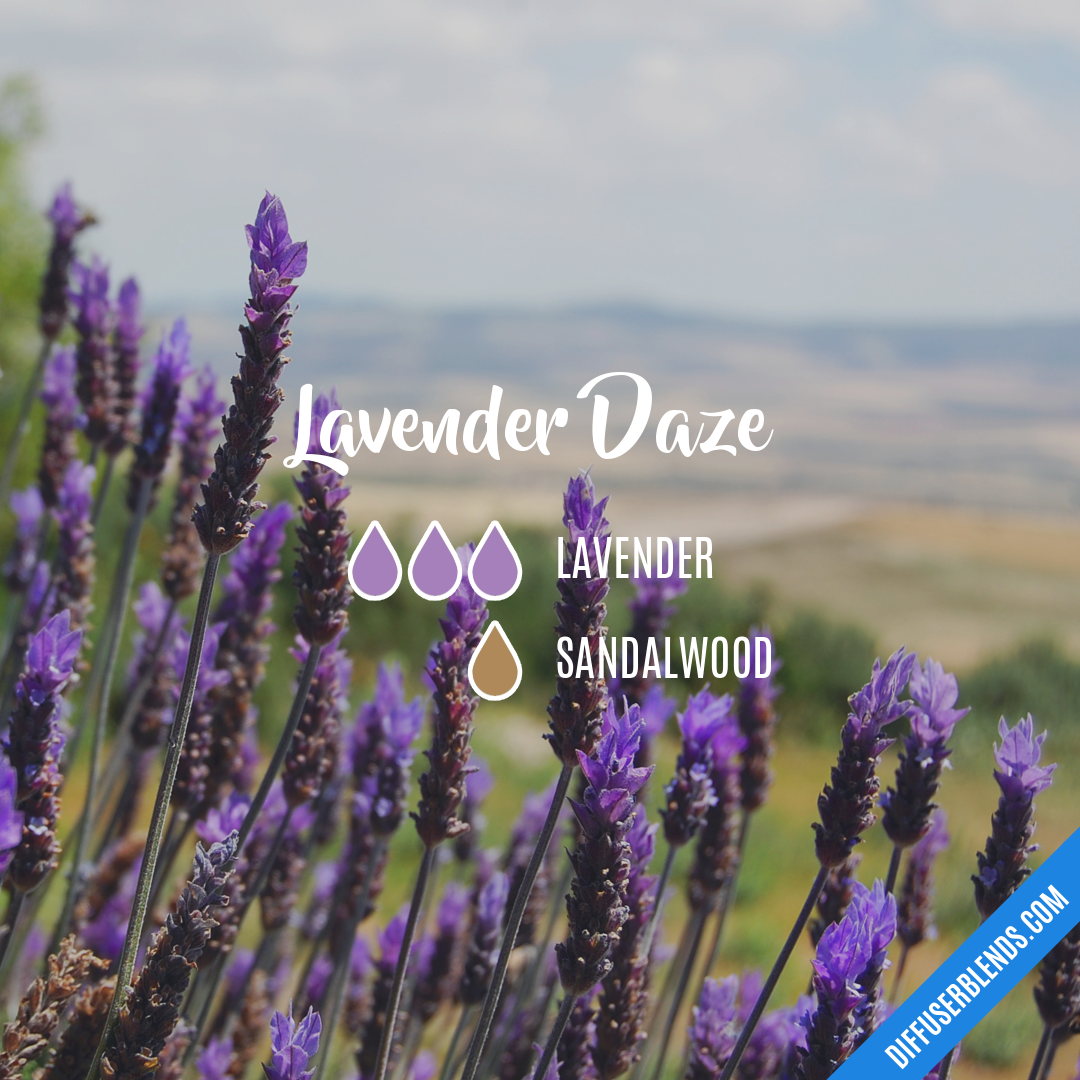 Lavender Daze | DiffuserBlends.com