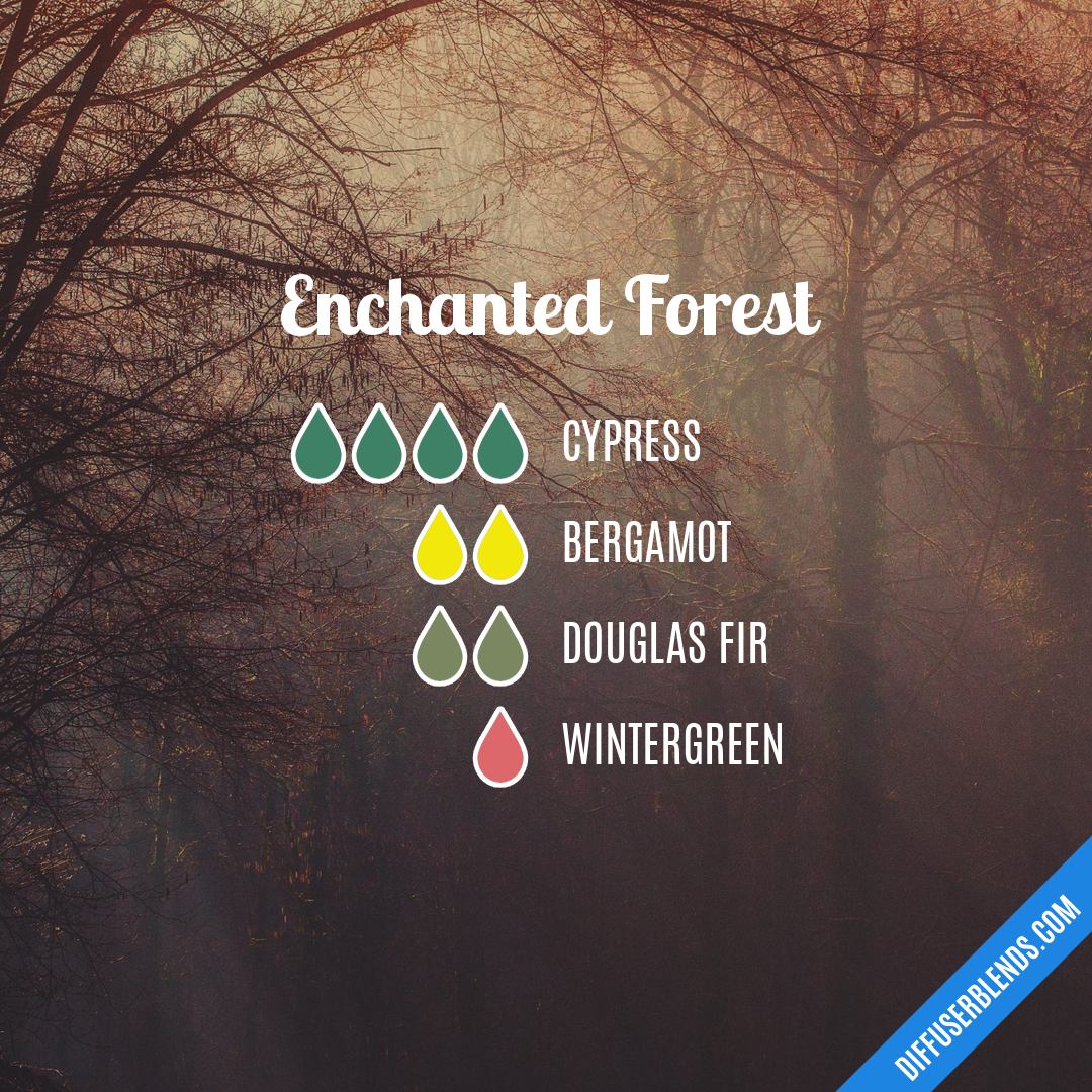Enchanted Forest | DiffuserBlends.com