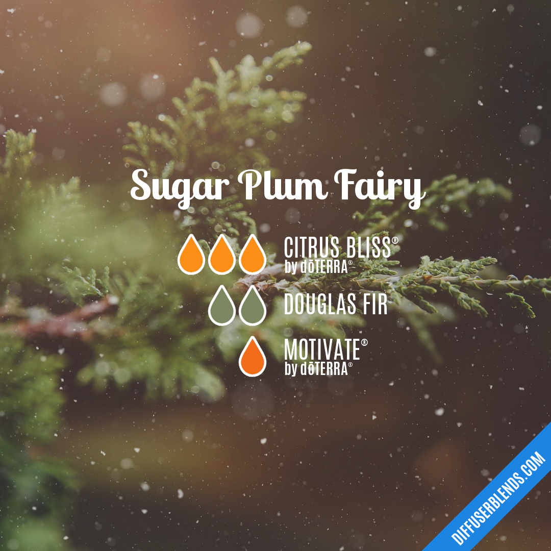 Sugar Plum Fairy | DiffuserBlends.com