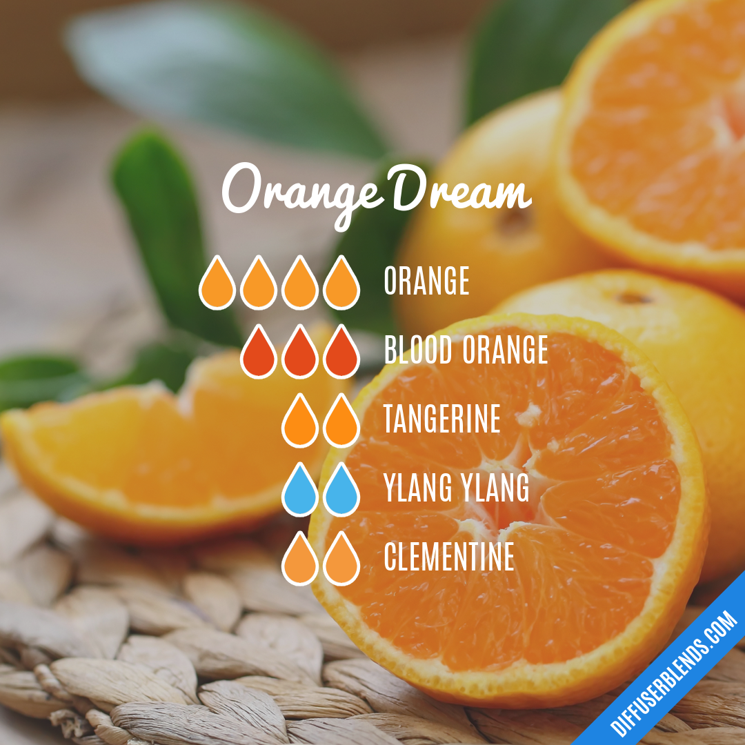 Orange Dream | DiffuserBlends.com