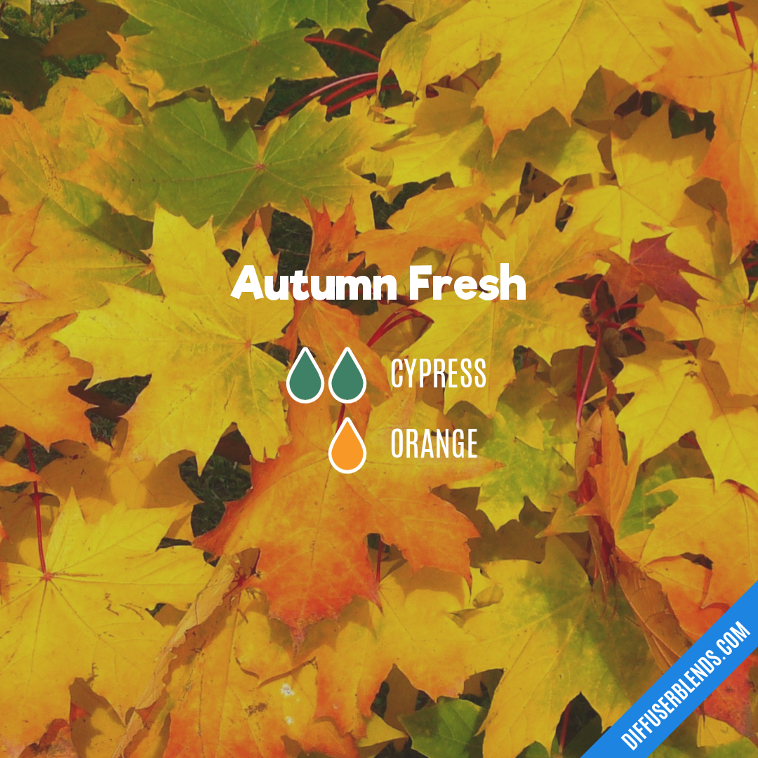 Autumn Fresh | DiffuserBlends.com