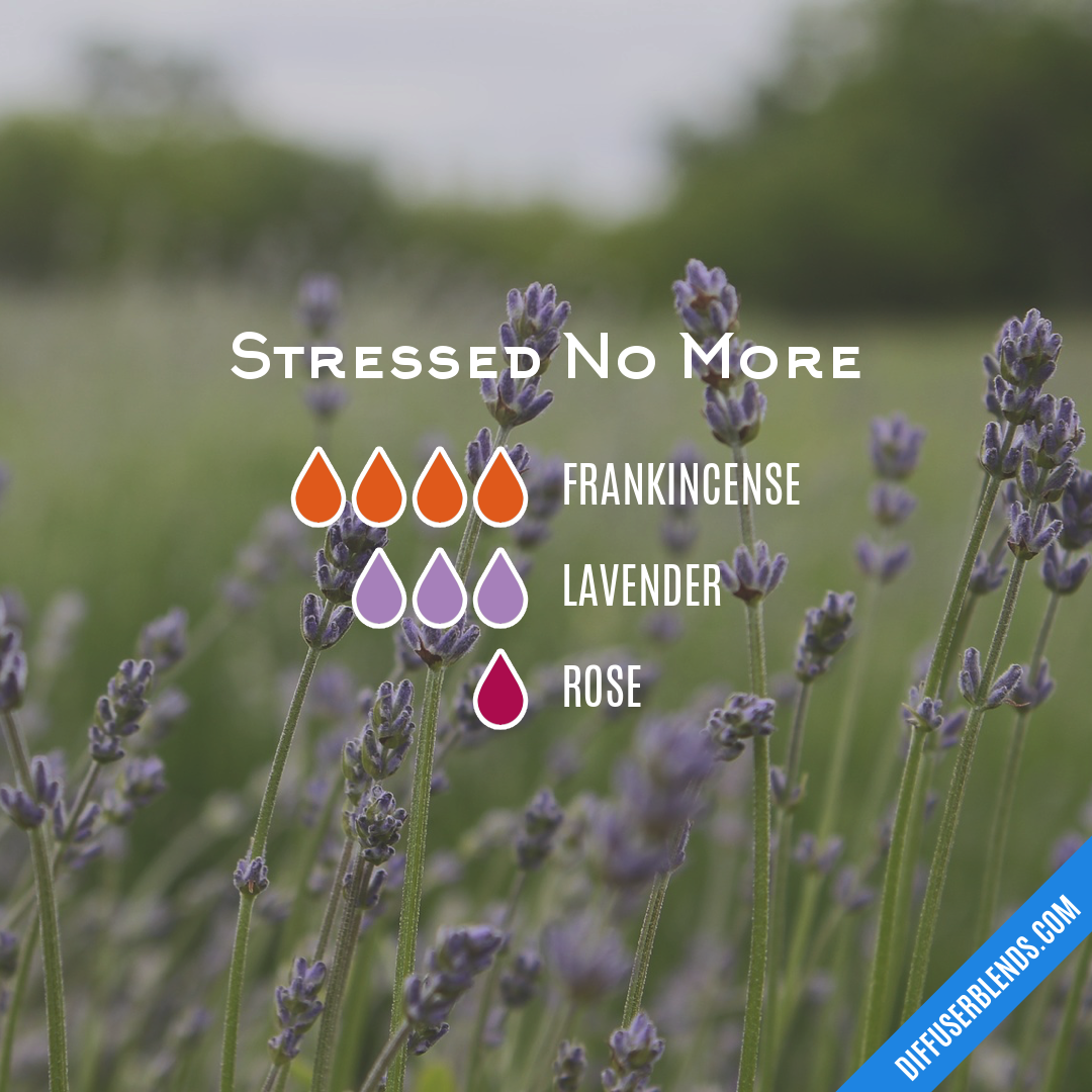 Stressed No More | DiffuserBlends.com