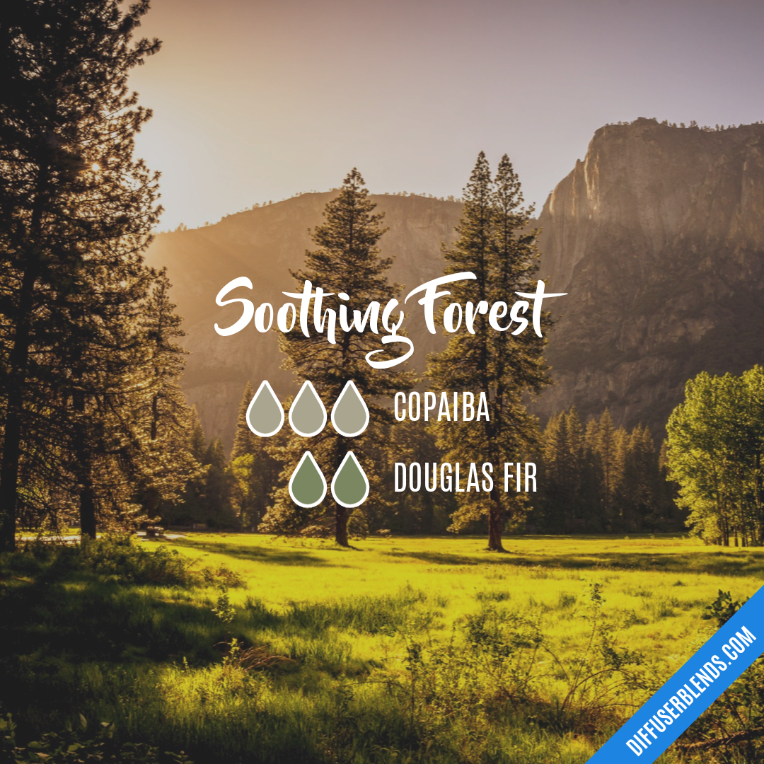 Soothing Forest | DiffuserBlends.com