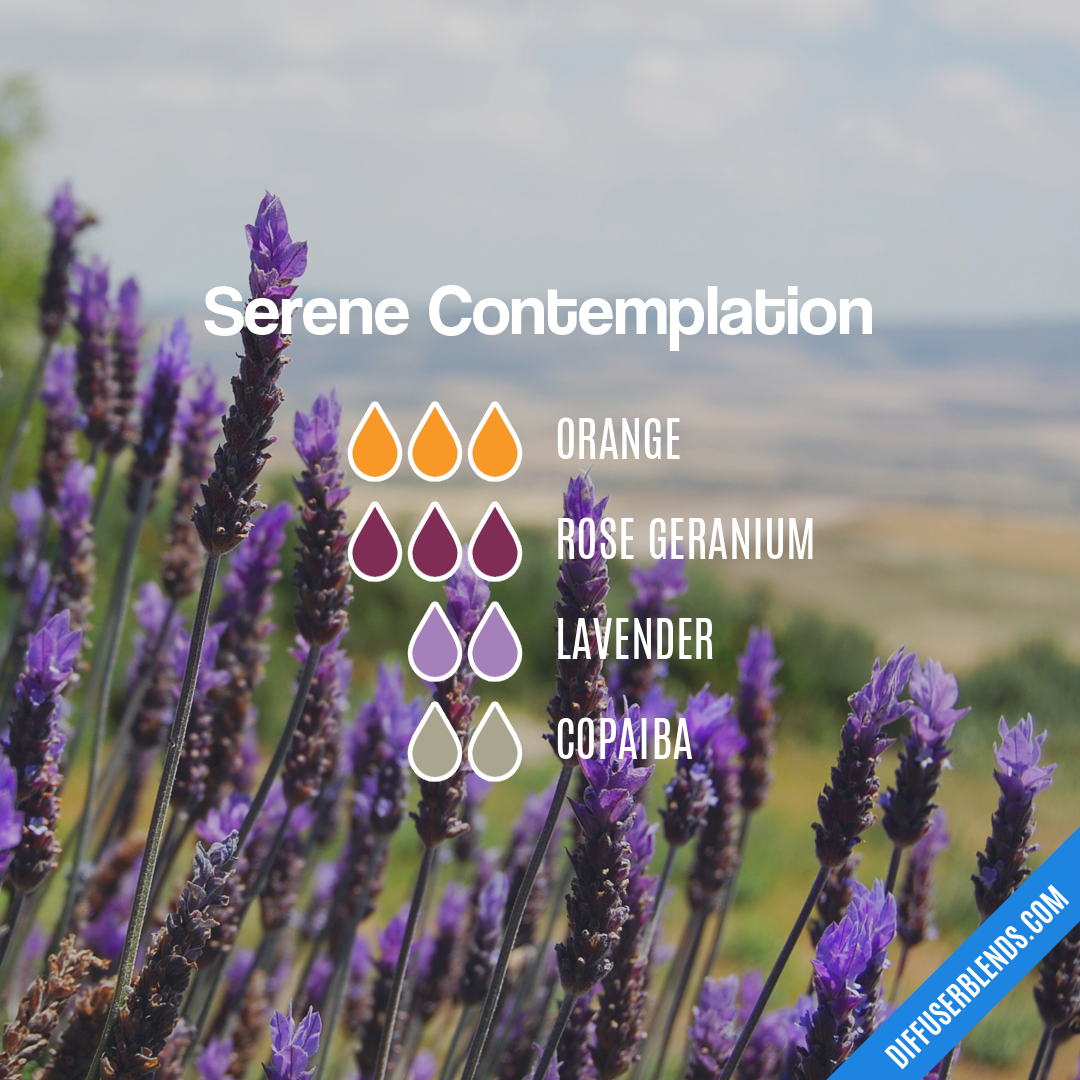 Serene Contemplation | DiffuserBlends.com