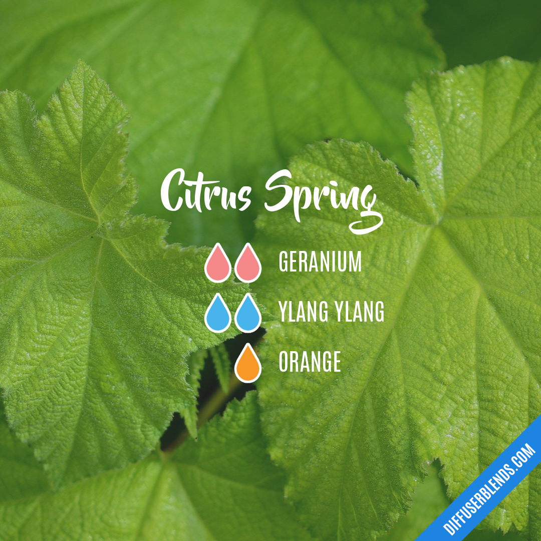 Citrus Spring | DiffuserBlends.com