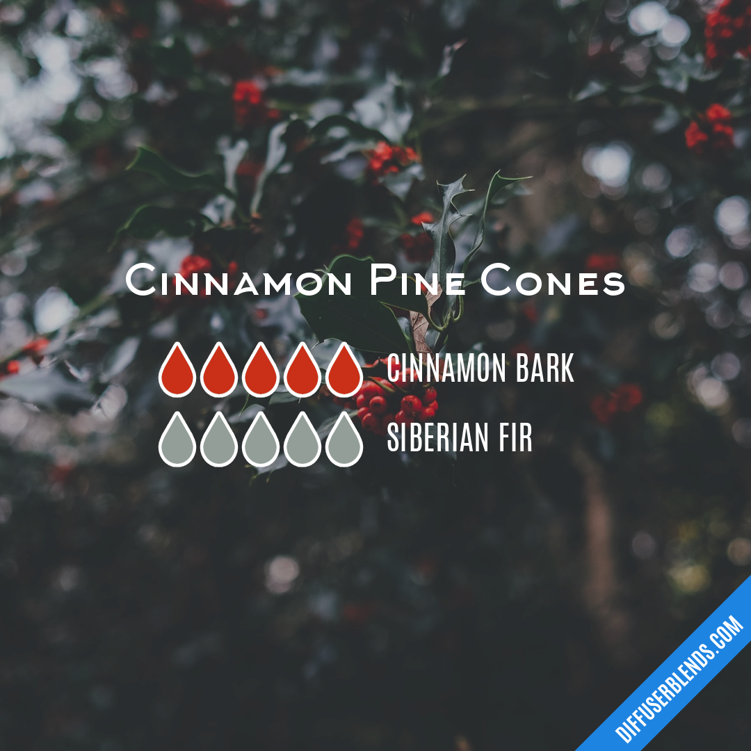 Cinnamon Pine Cones | DiffuserBlends.com