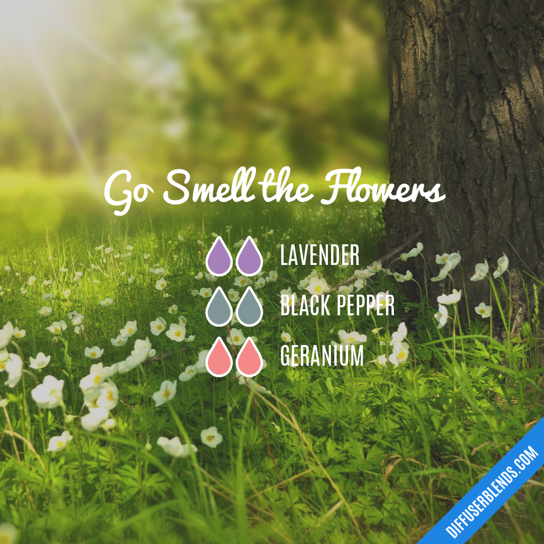 Go Smell the Flowers | DiffuserBlends.com