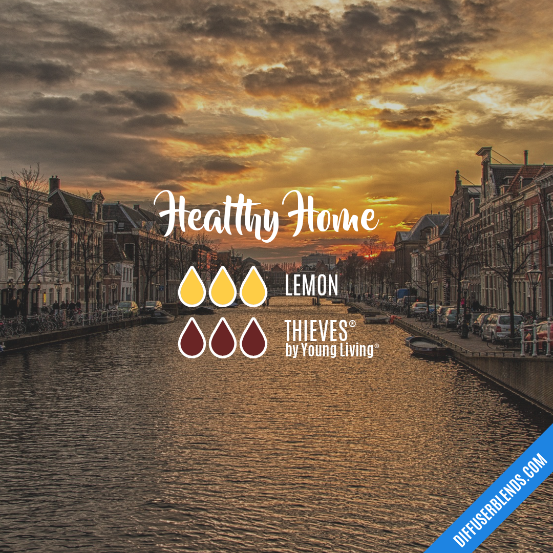 Healthy Home | DiffuserBlends.com