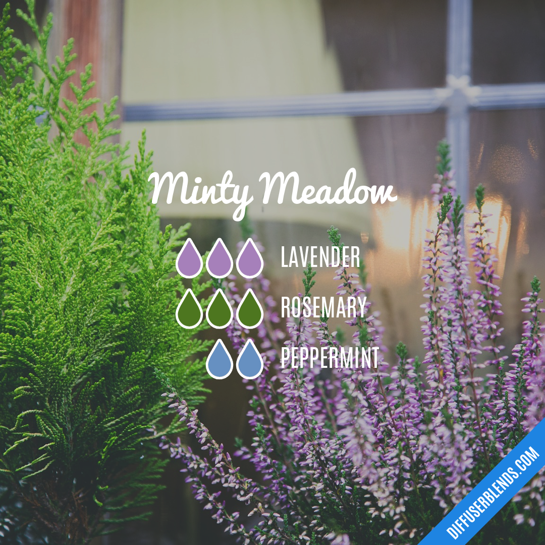 Minty Meadow | DiffuserBlends.com