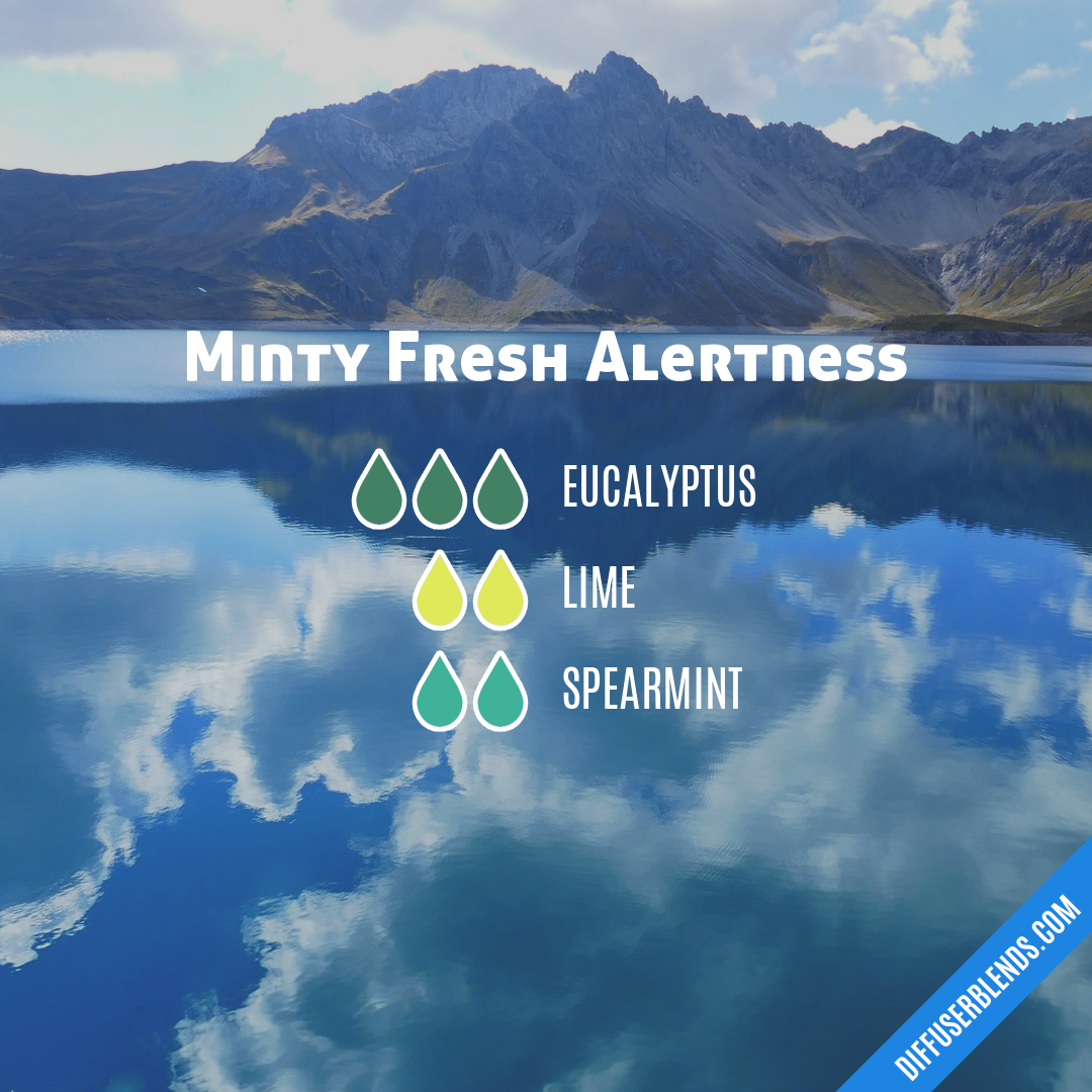 Minty Fresh Alertness | DiffuserBlends.com