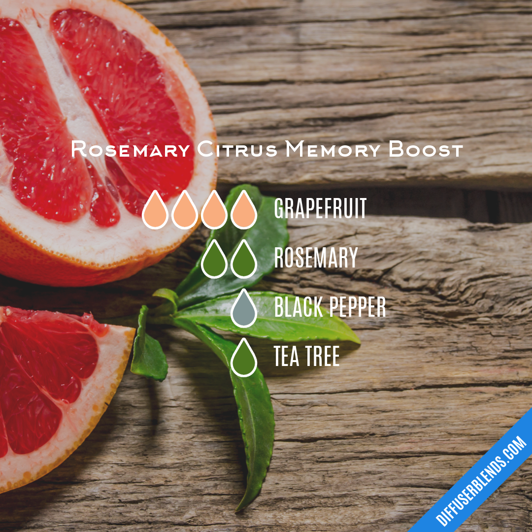 Rosemary Citrus Memory Boost | DiffuserBlends.com