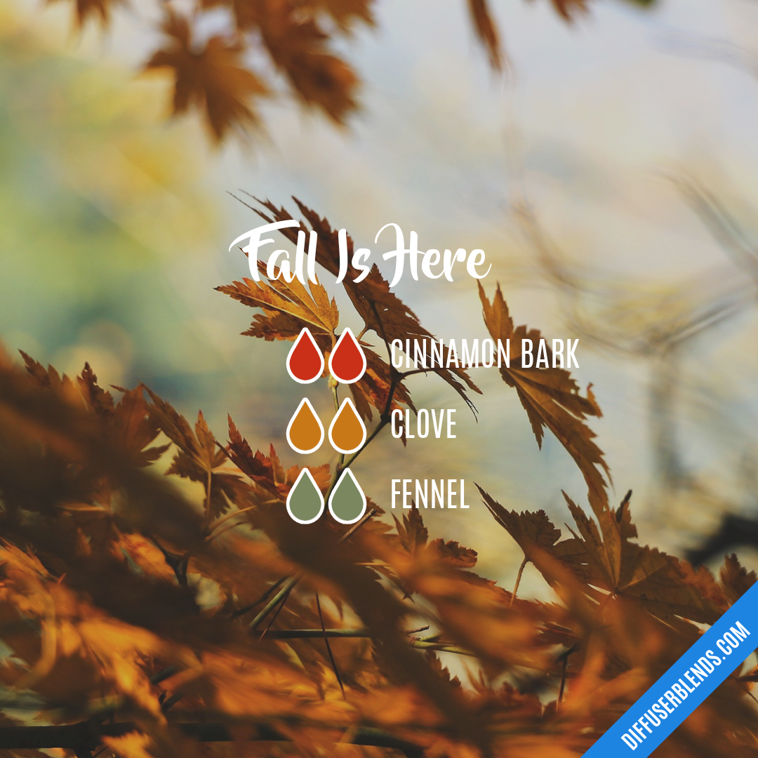 Fall Is Here | DiffuserBlends.com