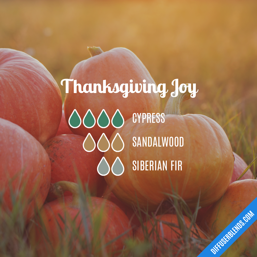 Thanksgiving Joy | DiffuserBlends.com