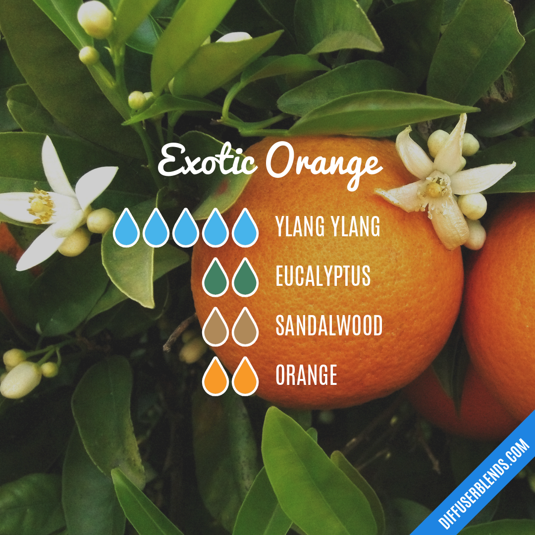 Exotic Orange | DiffuserBlends.com