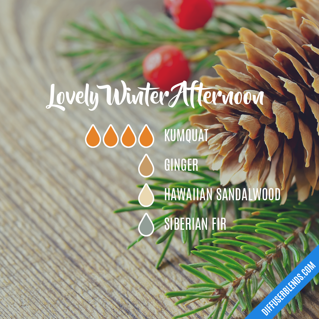 Lovely Winter Afternoon | DiffuserBlends.com