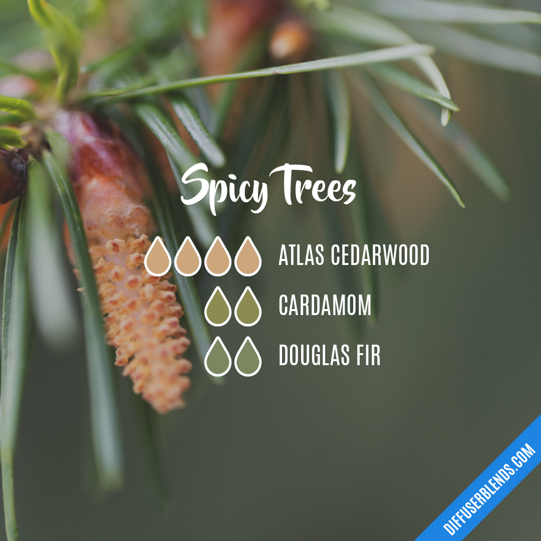 Spicy Trees | DiffuserBlends.com