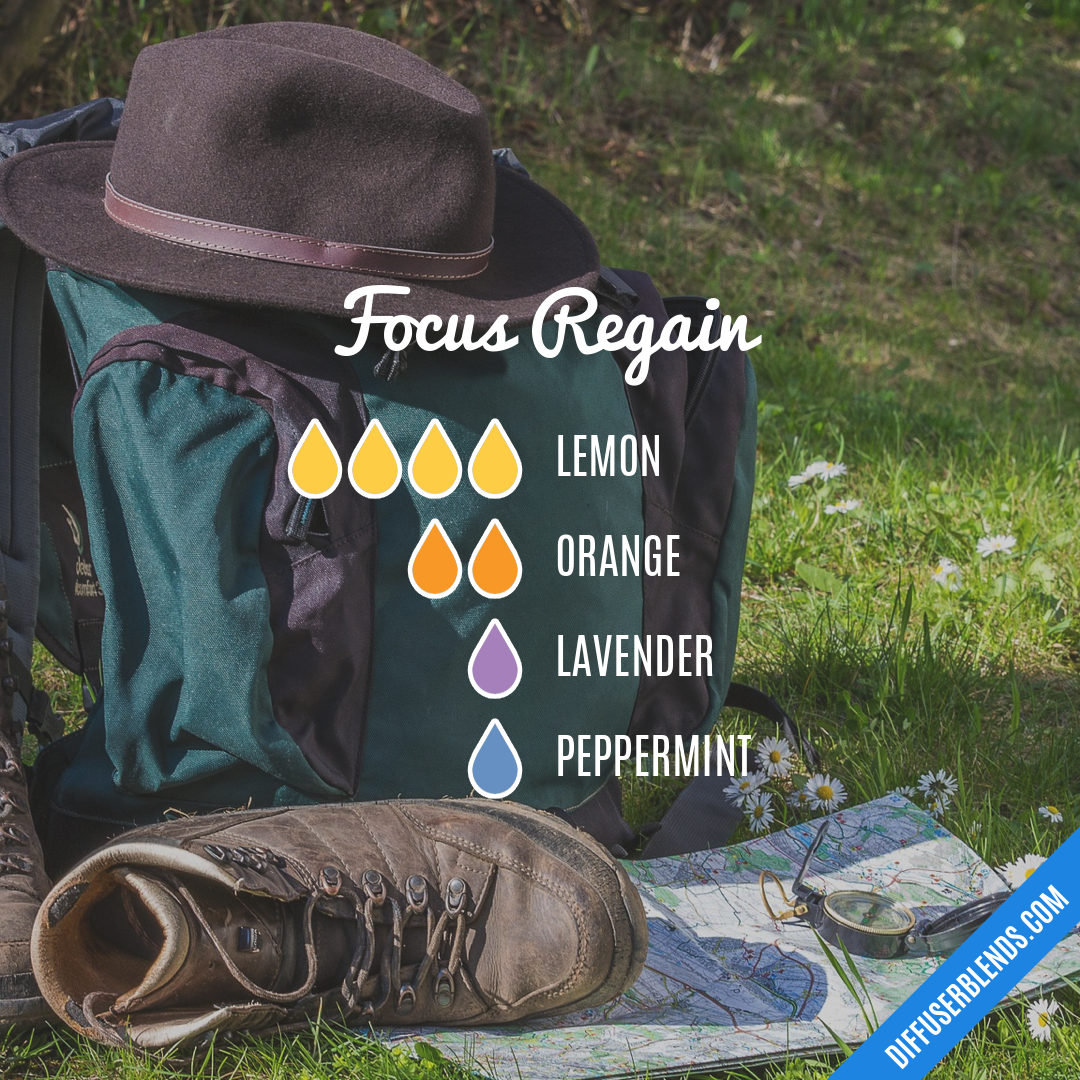 Focus Regain | DiffuserBlends.com