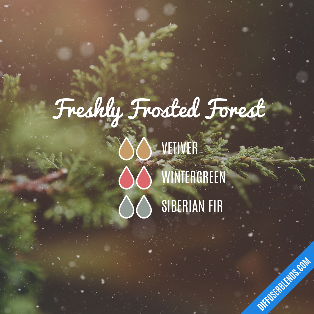 Freshly Frosted Forest | DiffuserBlends.com