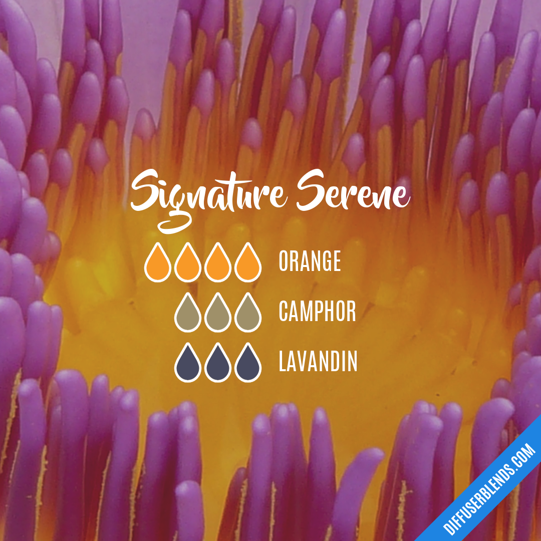 Signature Serene | DiffuserBlends.com