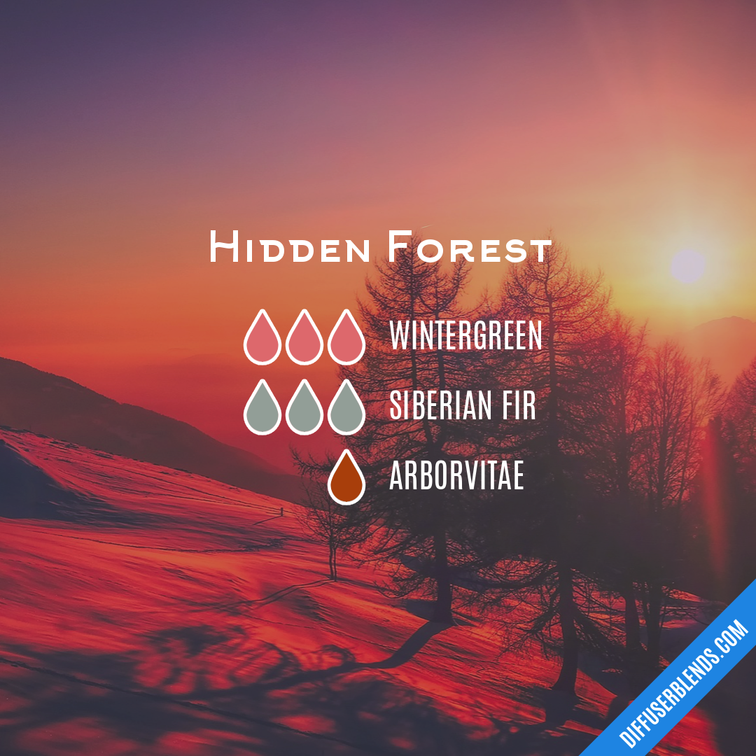 Hidden Forest | DiffuserBlends.com