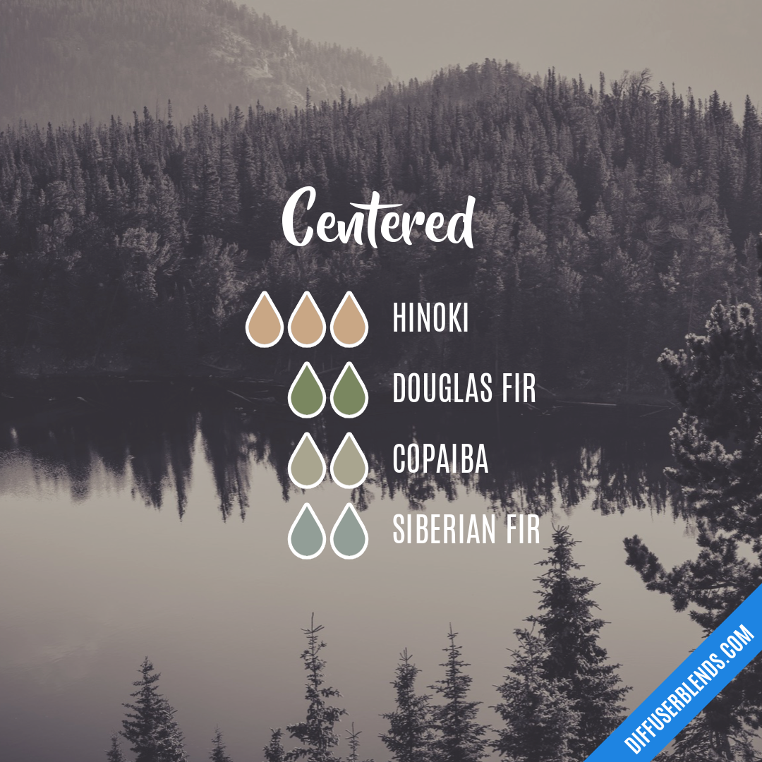 Centered | DiffuserBlends.com