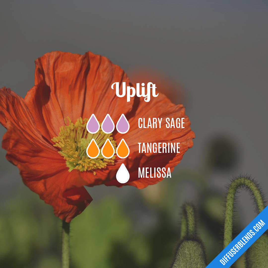Uplift | DiffuserBlends.com