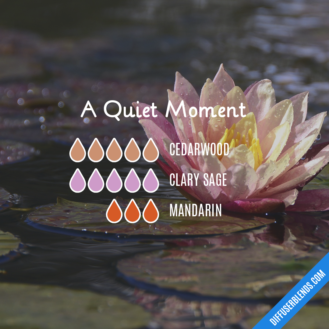 A Quiet Moment | DiffuserBlends.com