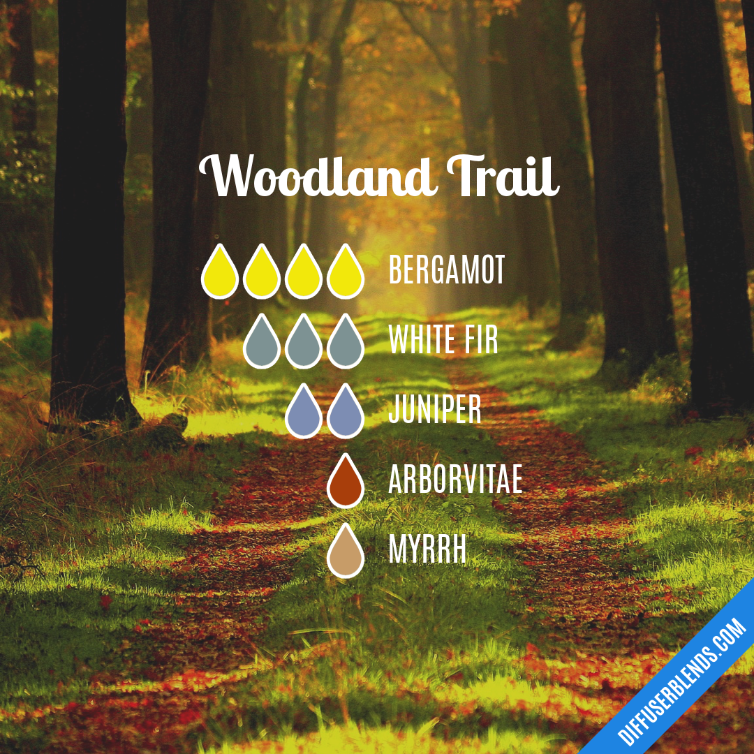 Woodland Trail | DiffuserBlends.com