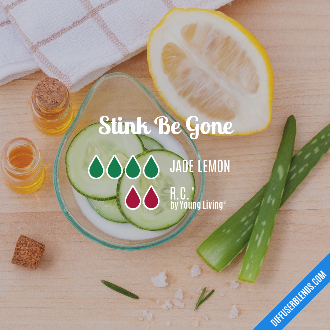 Stink Be Gone | DiffuserBlends.com