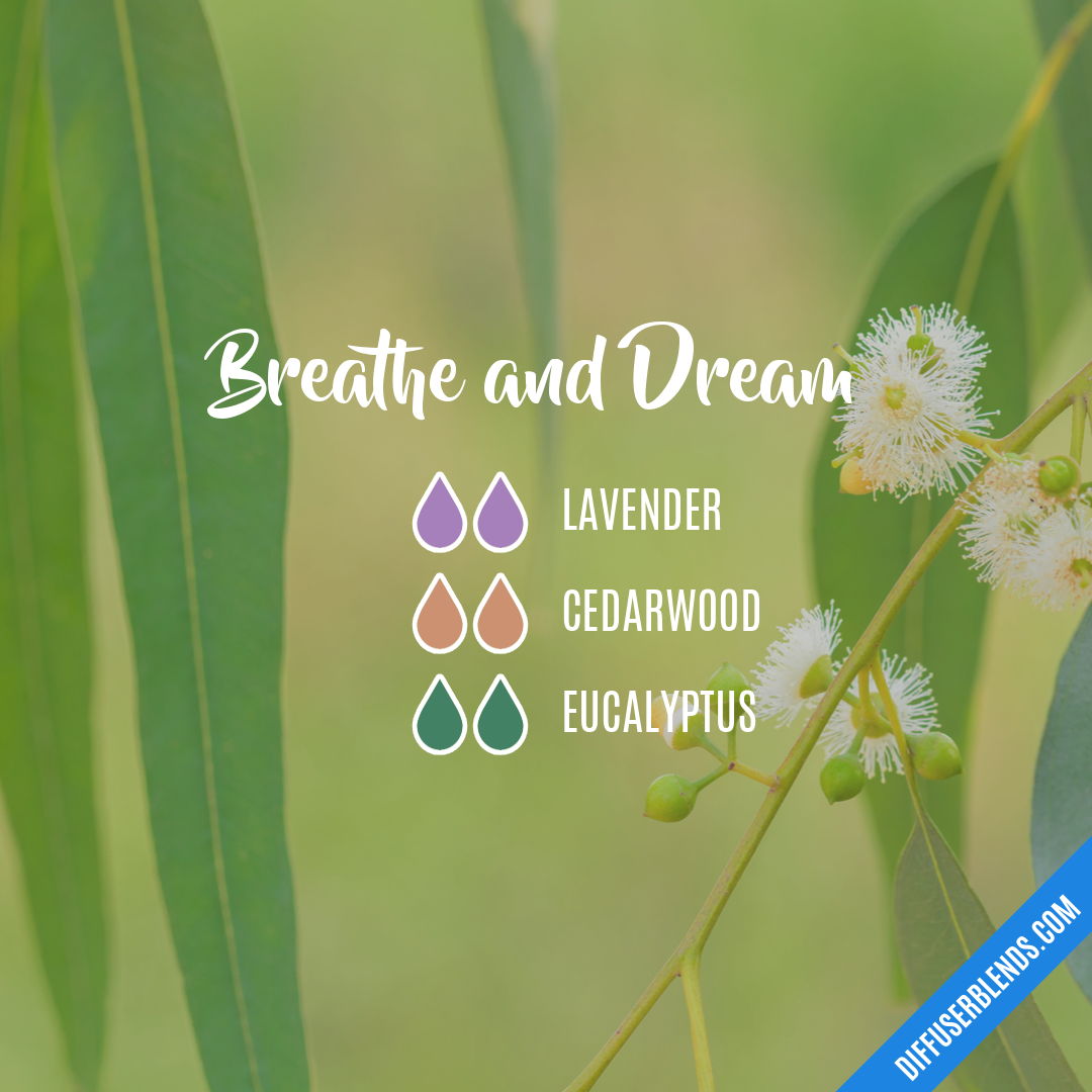 Breathe and Dream | DiffuserBlends.com