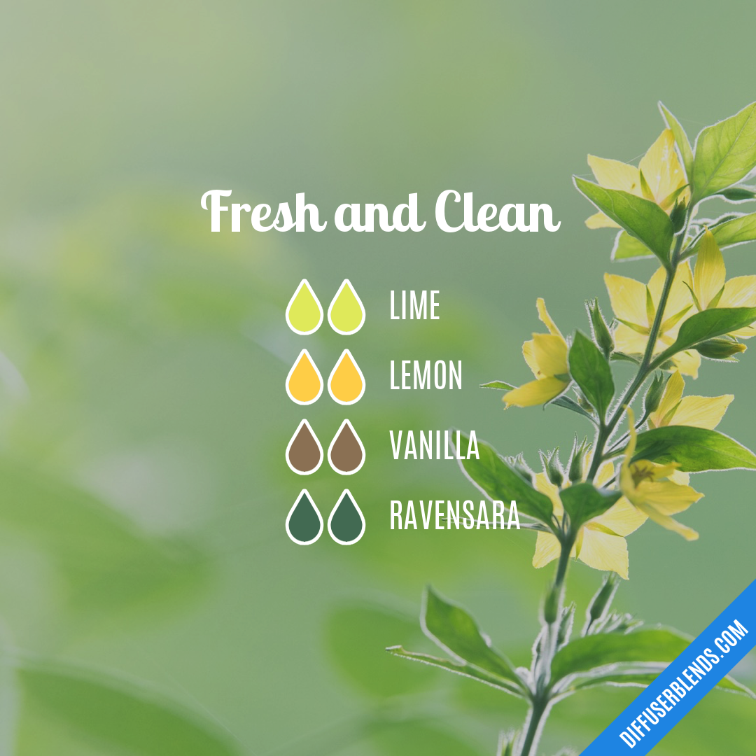 Fresh and Clean | DiffuserBlends.com