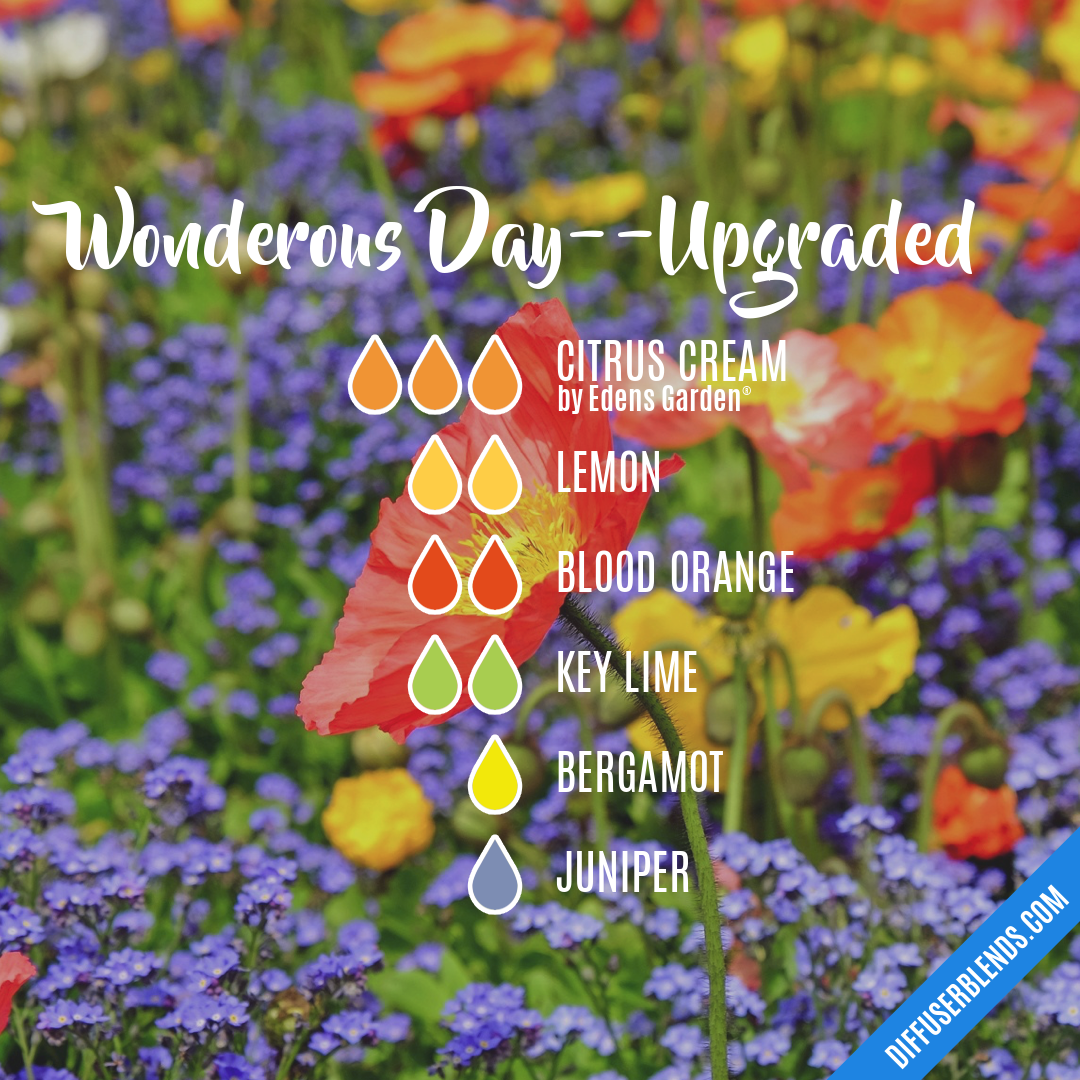 Wonderous Day--Upgraded | DiffuserBlends.com