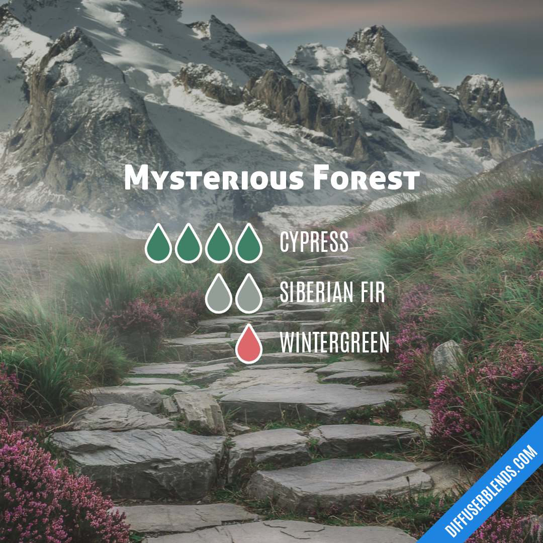 Mysterious Forest | DiffuserBlends.com