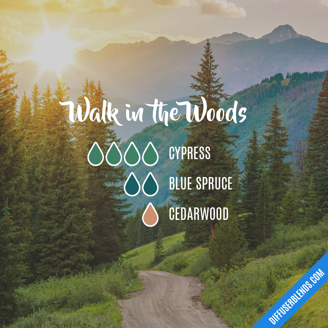 Walk in the Woods | DiffuserBlends.com