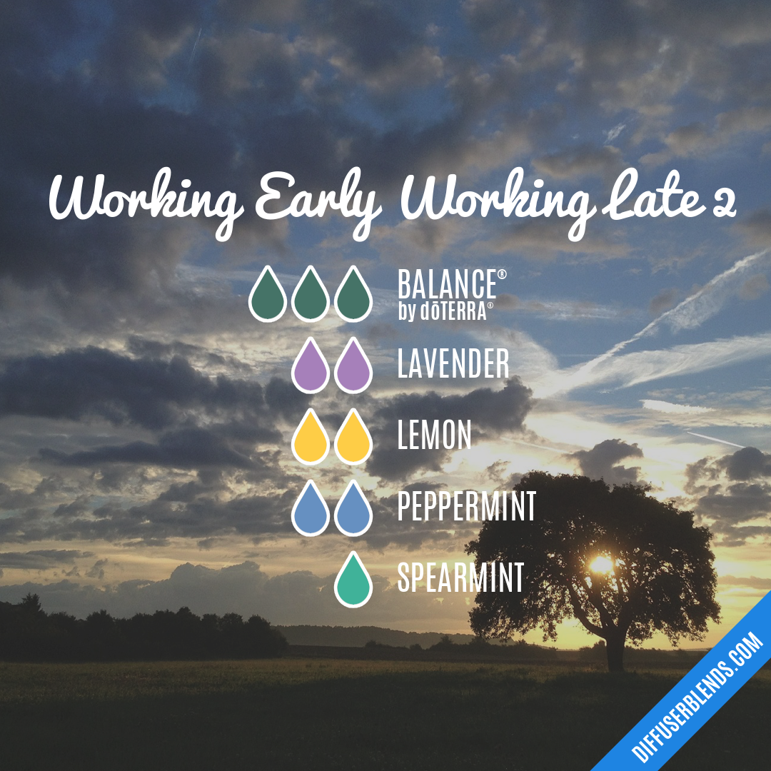 Working Early Working Late 2 | DiffuserBlends.com