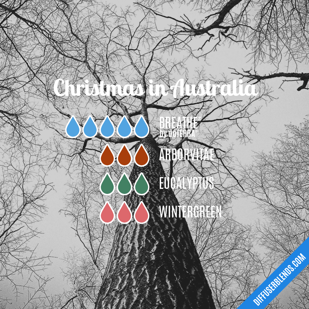 Christmas in Australia | DiffuserBlends.com