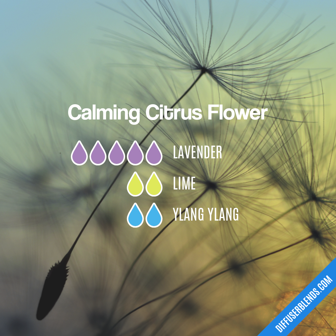 Calming Citrus Flower | DiffuserBlends.com