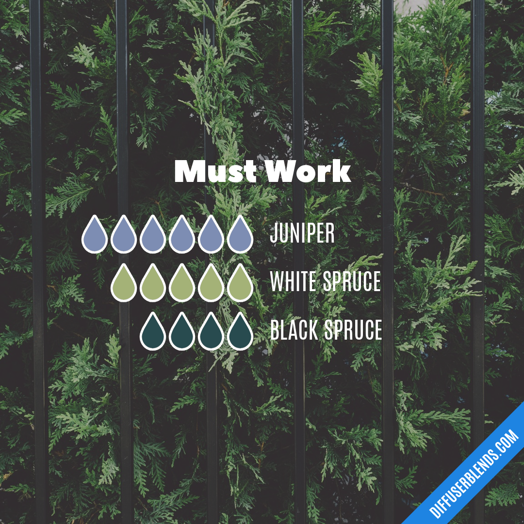 Must Work | DiffuserBlends.com