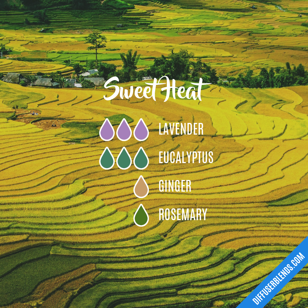 Sweet Heat | DiffuserBlends.com