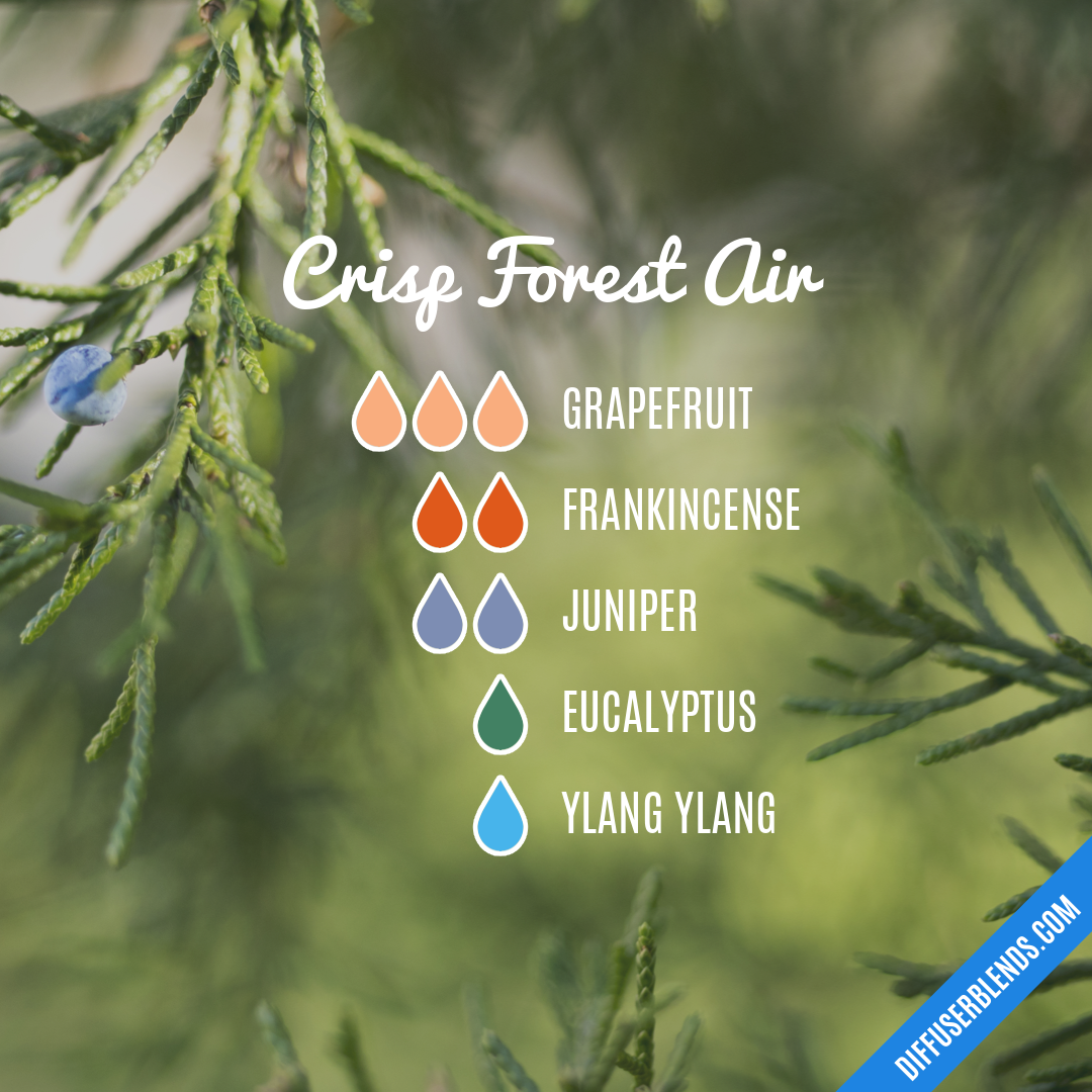 Crisp Forest Air | DiffuserBlends.com