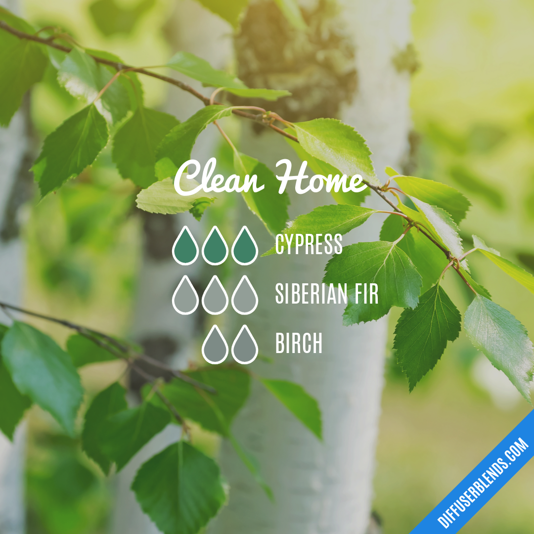 Clean Home | DiffuserBlends.com